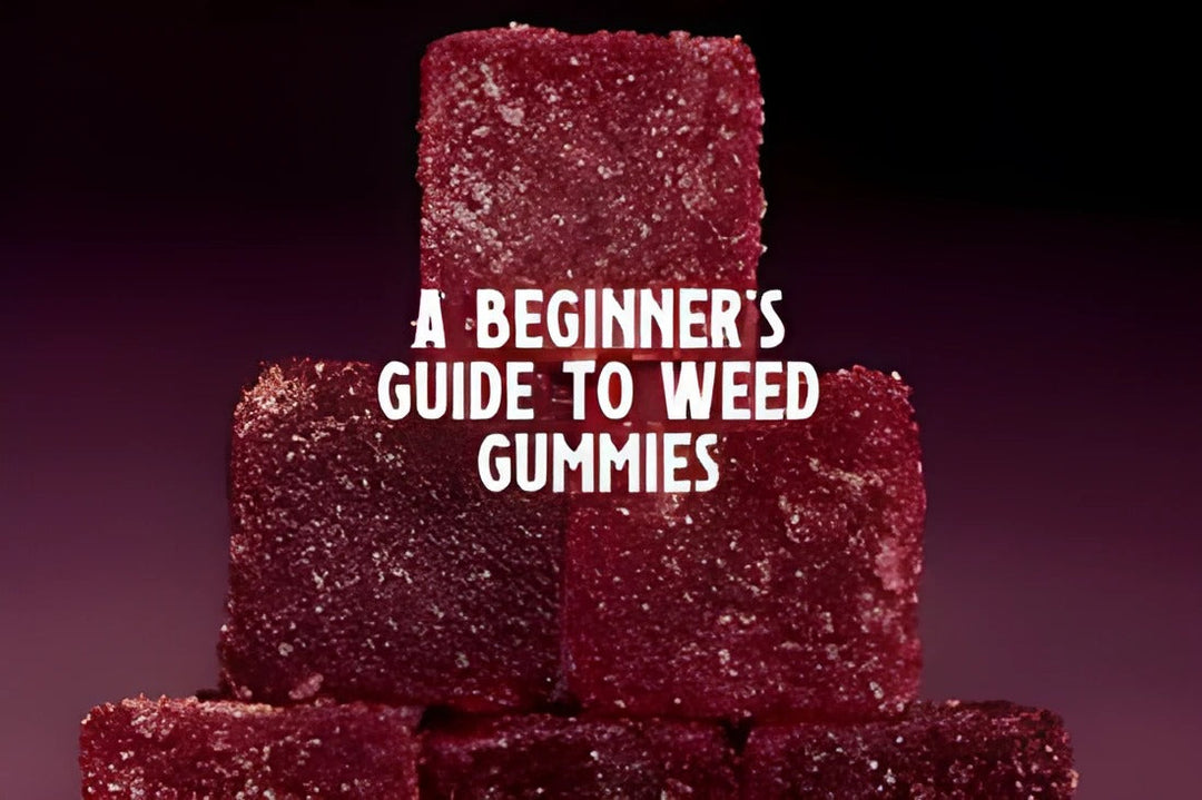 Beginner's Guide to Weed Gummies: Benefits, Types & Safety – Dad Grass