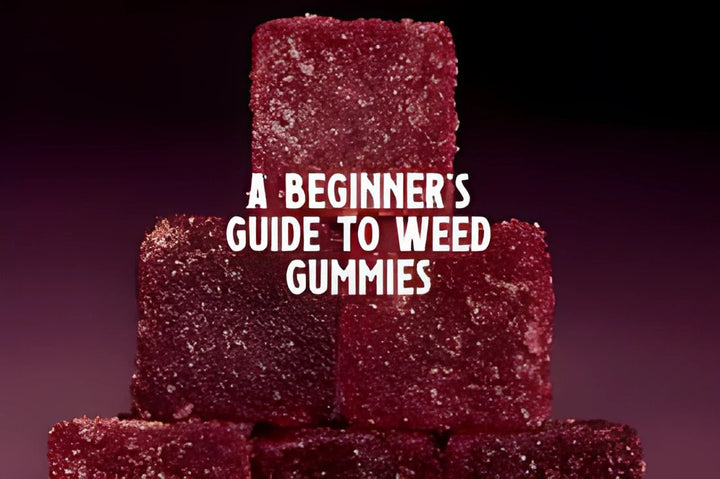Beginner's Guide to Weed Gummies: Benefits, Types & Safety – Dad Grass