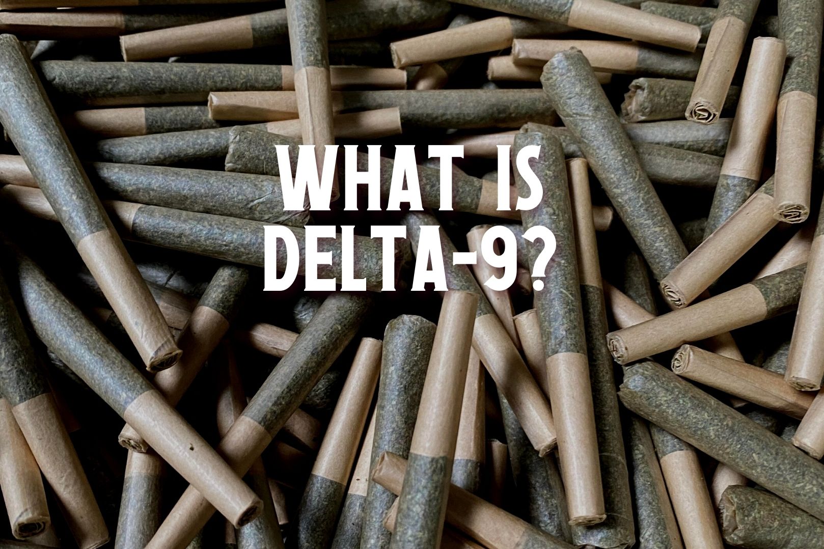 What Is Delta-9 and How Is It Different From CBD? – Dad Grass