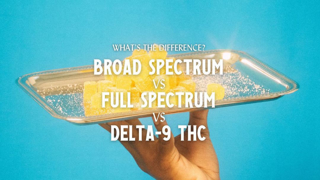 What Is Full Spectrum Delta 9? Learn the Differences – Dad Grass