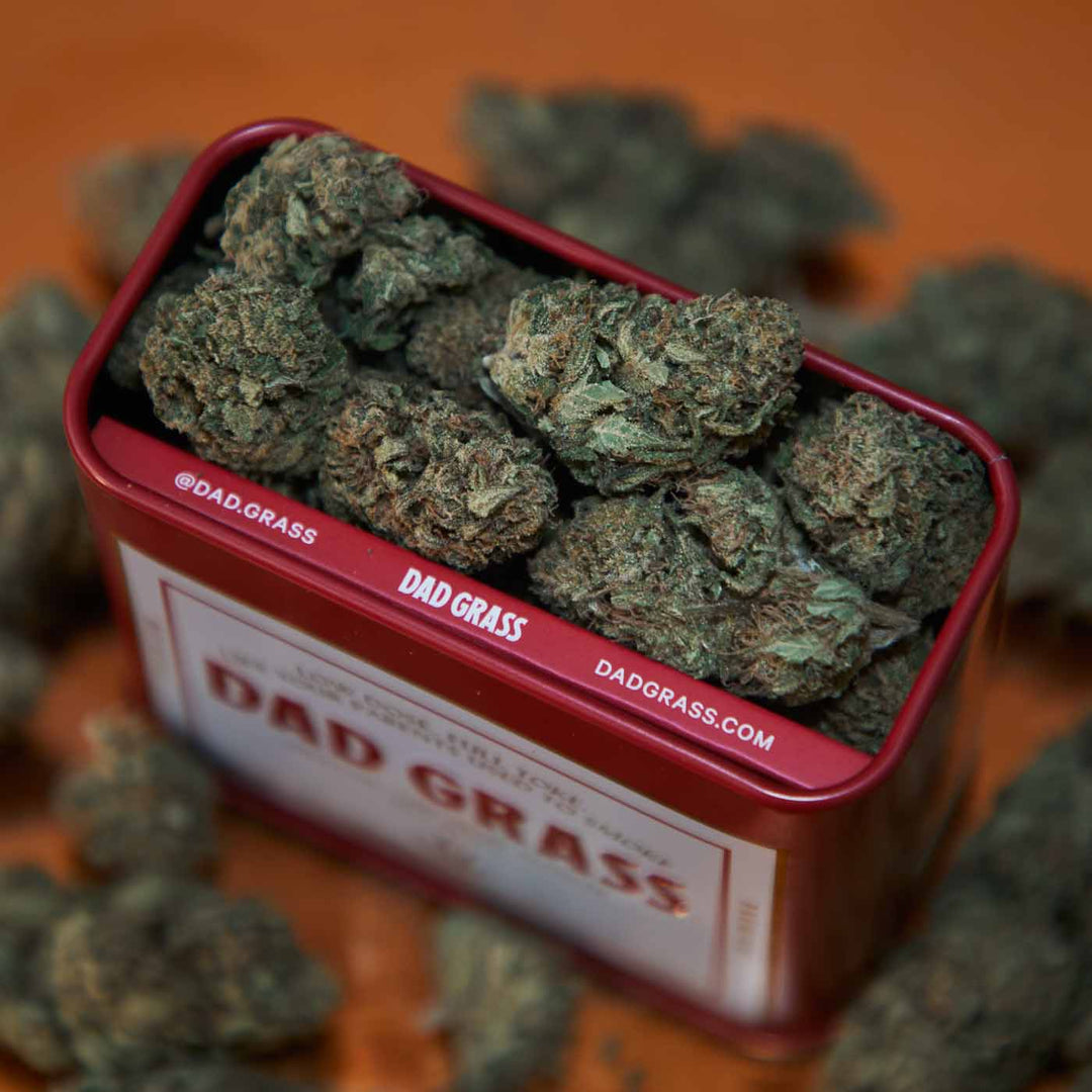 Hemp CBD Flower | DG Motor Oil Flower Dad Stash - Dad Grass